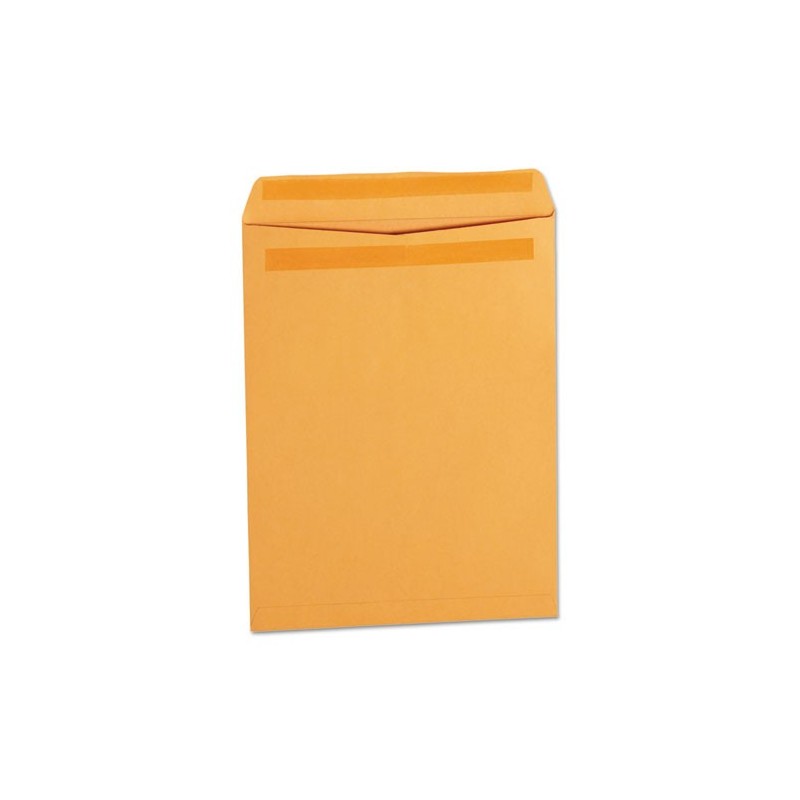 Universal Self-Stick Open End Catalog Envelope