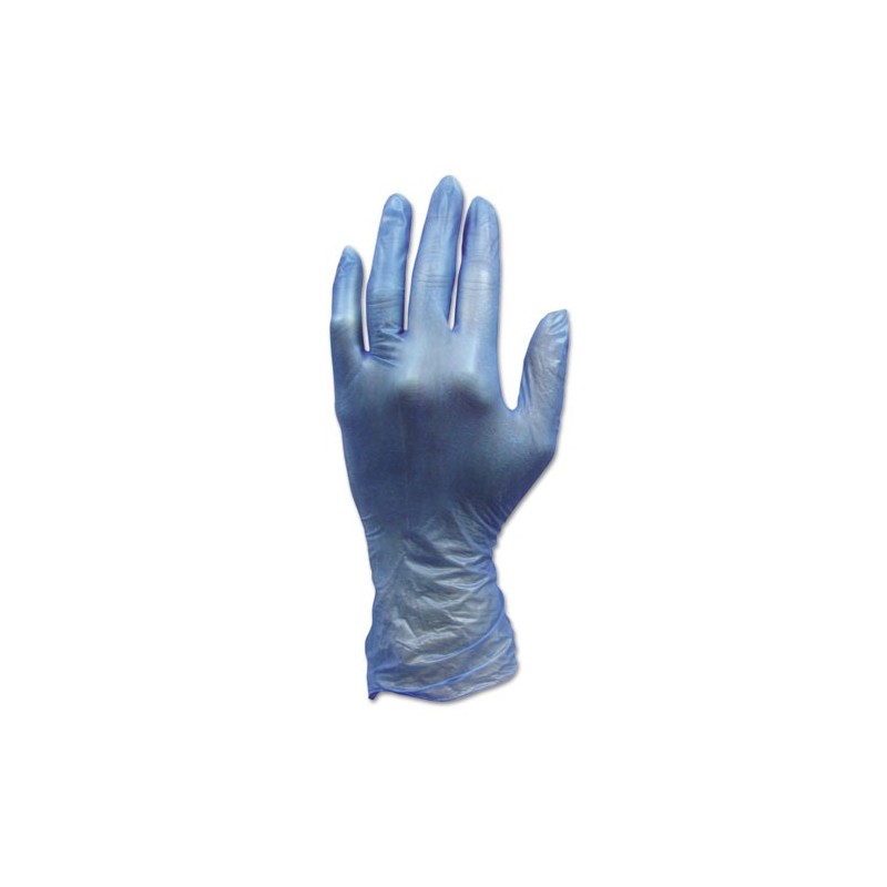 HOSPECO ProWorks Industrial Grade Disposable Vinyl Gloves